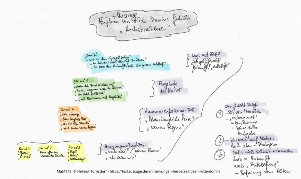 Anmerkungen zum Gedicht "Herbstzeitlosen" von Hilde Domin - Textaussage